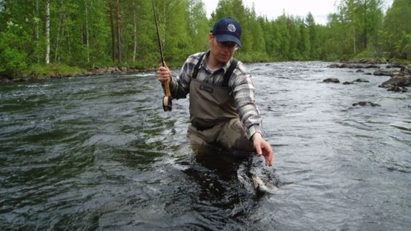 Fiska i Vindelälven | Visit Vindeln