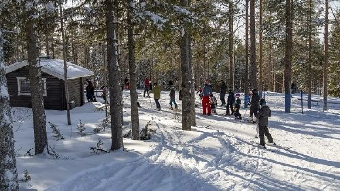 Buberget | Visit Vindeln